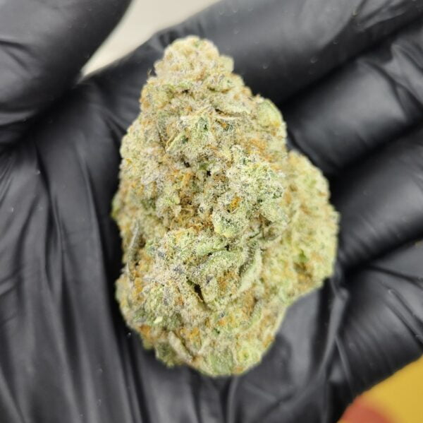 Order top-shelf cannabis online with Cannabear Thailand