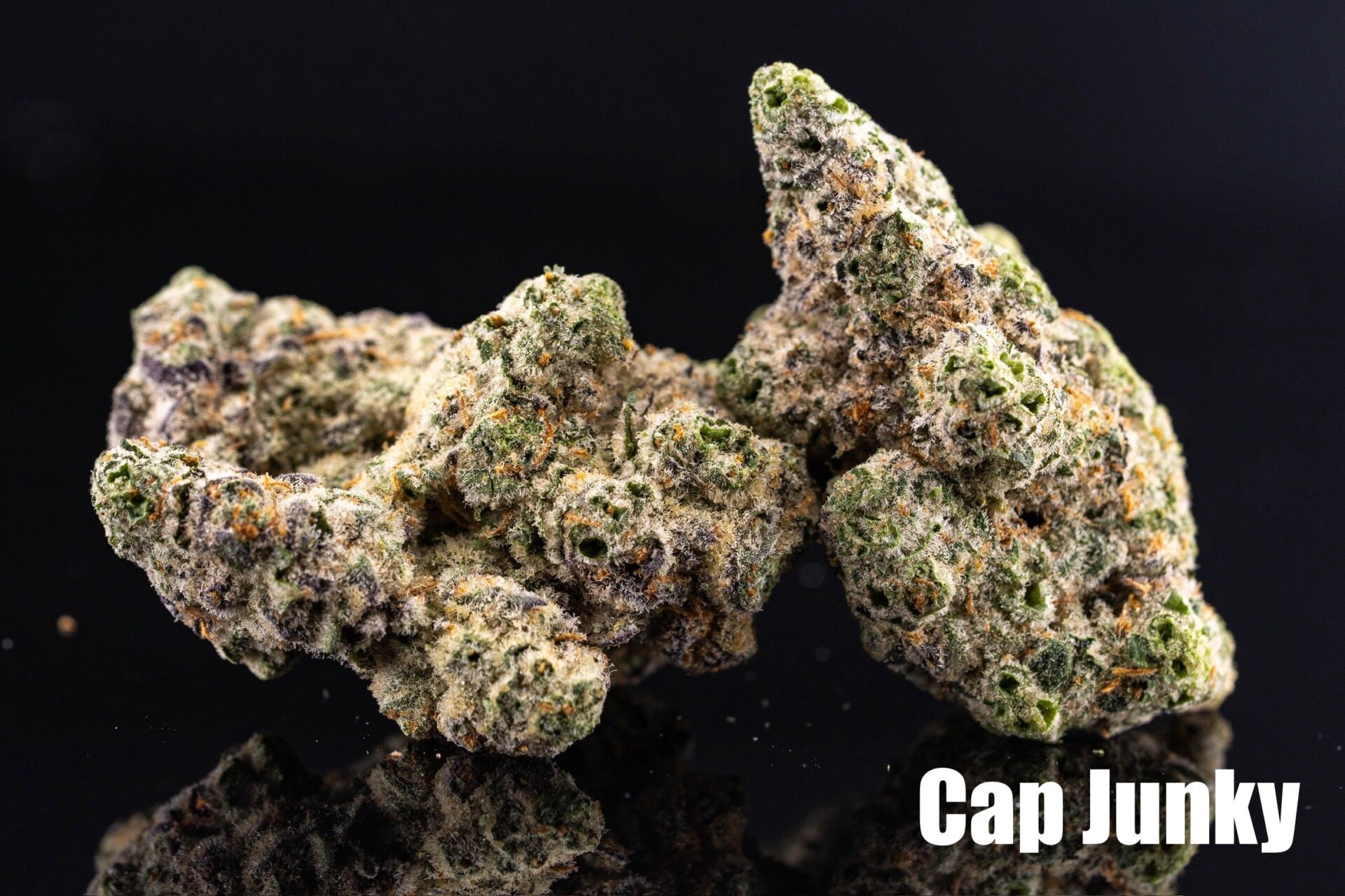 Cap Junky (Seed Junky Breeder Cut) - Cannabear Thailand